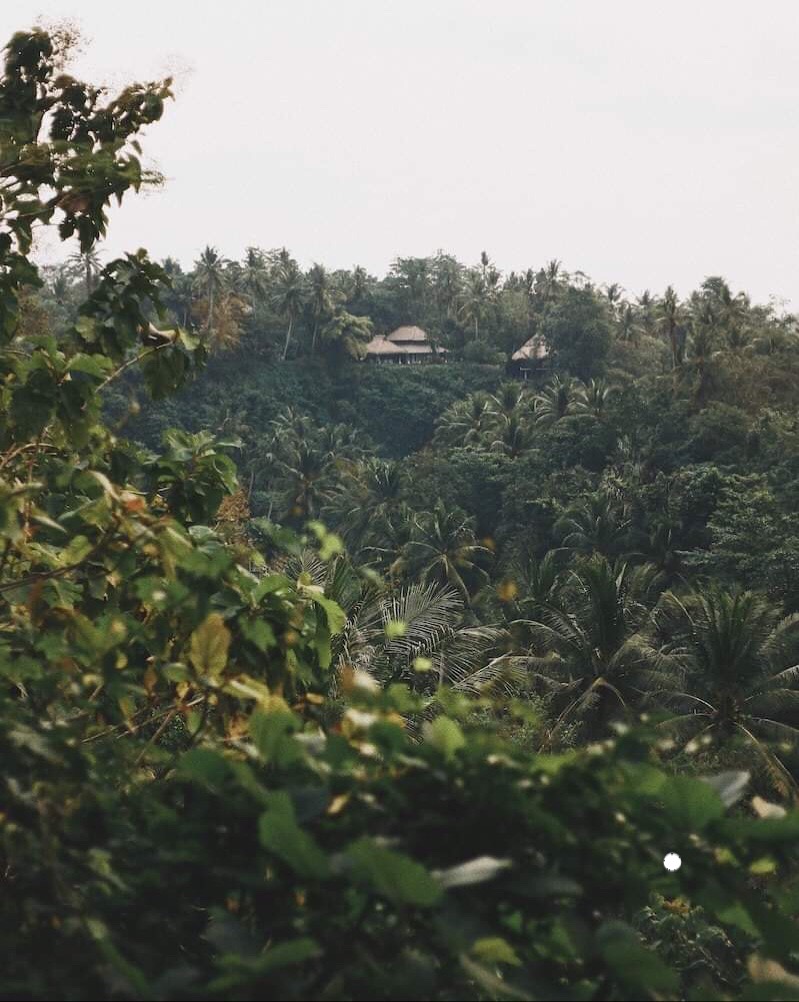 What to Expect From Ubud, Bali – EdventureGirl
